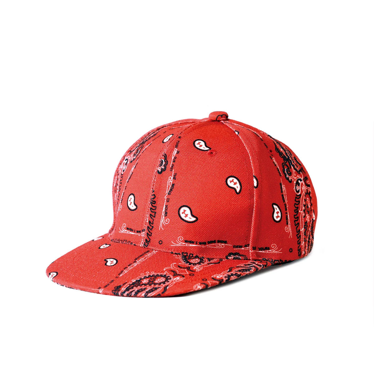 Paisley CAP | Why are you here?